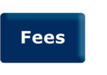 Fees button4 - CCGS Christ Church Grammar School