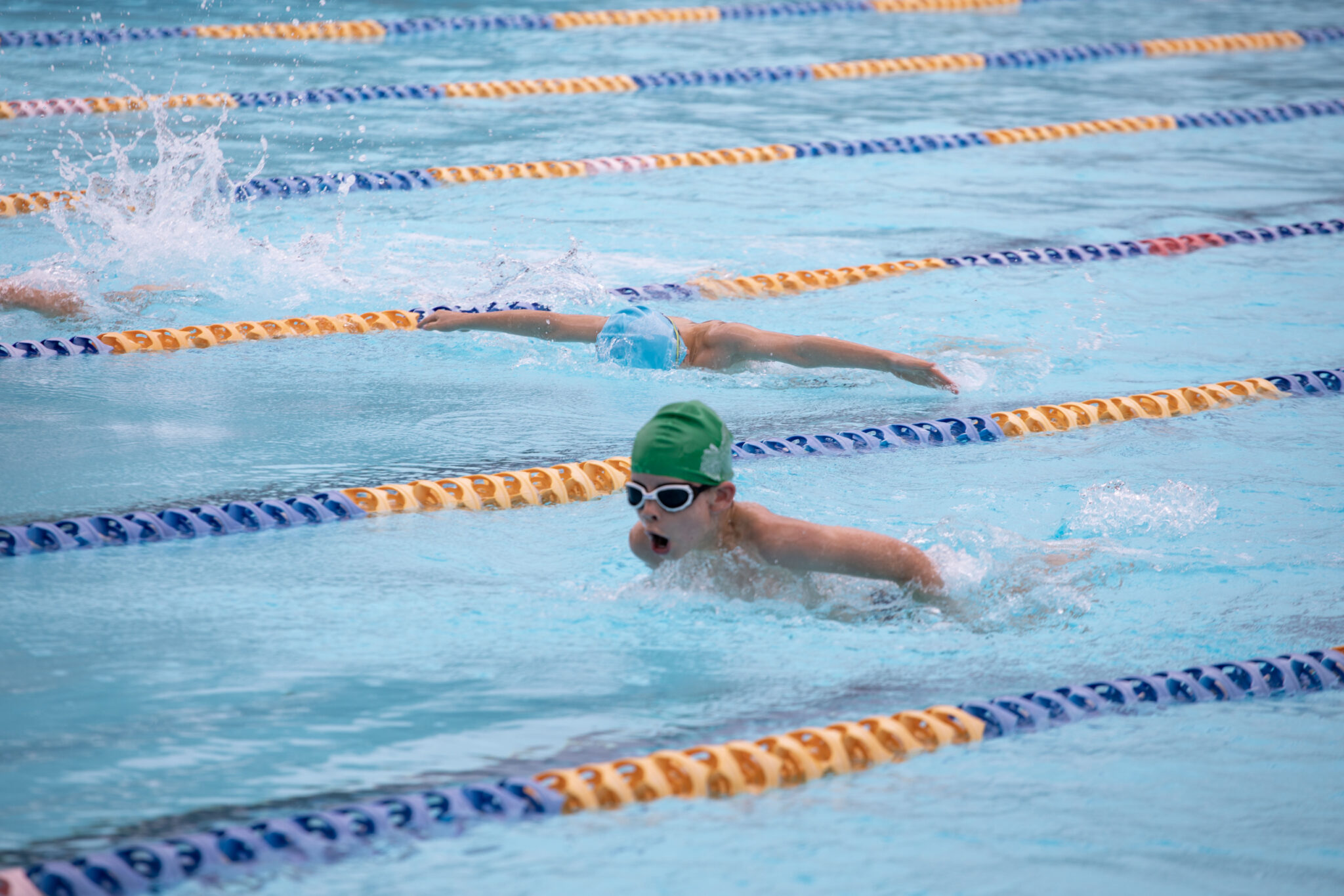 Preparatory School boys make a splash at Swimming Carnivals - CCGS ...