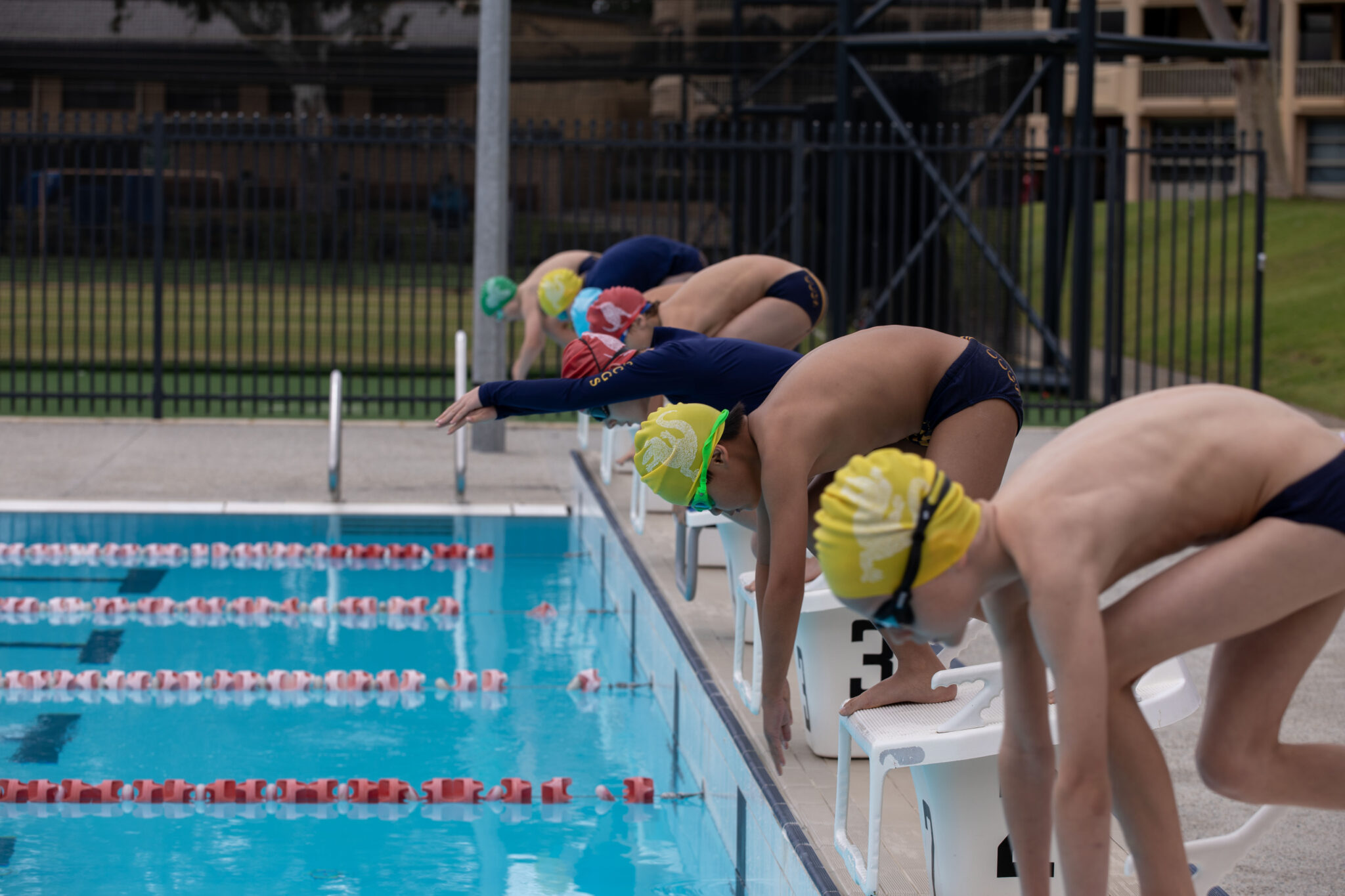 Preparatory School boys make a splash at Swimming Carnivals - CCGS ...