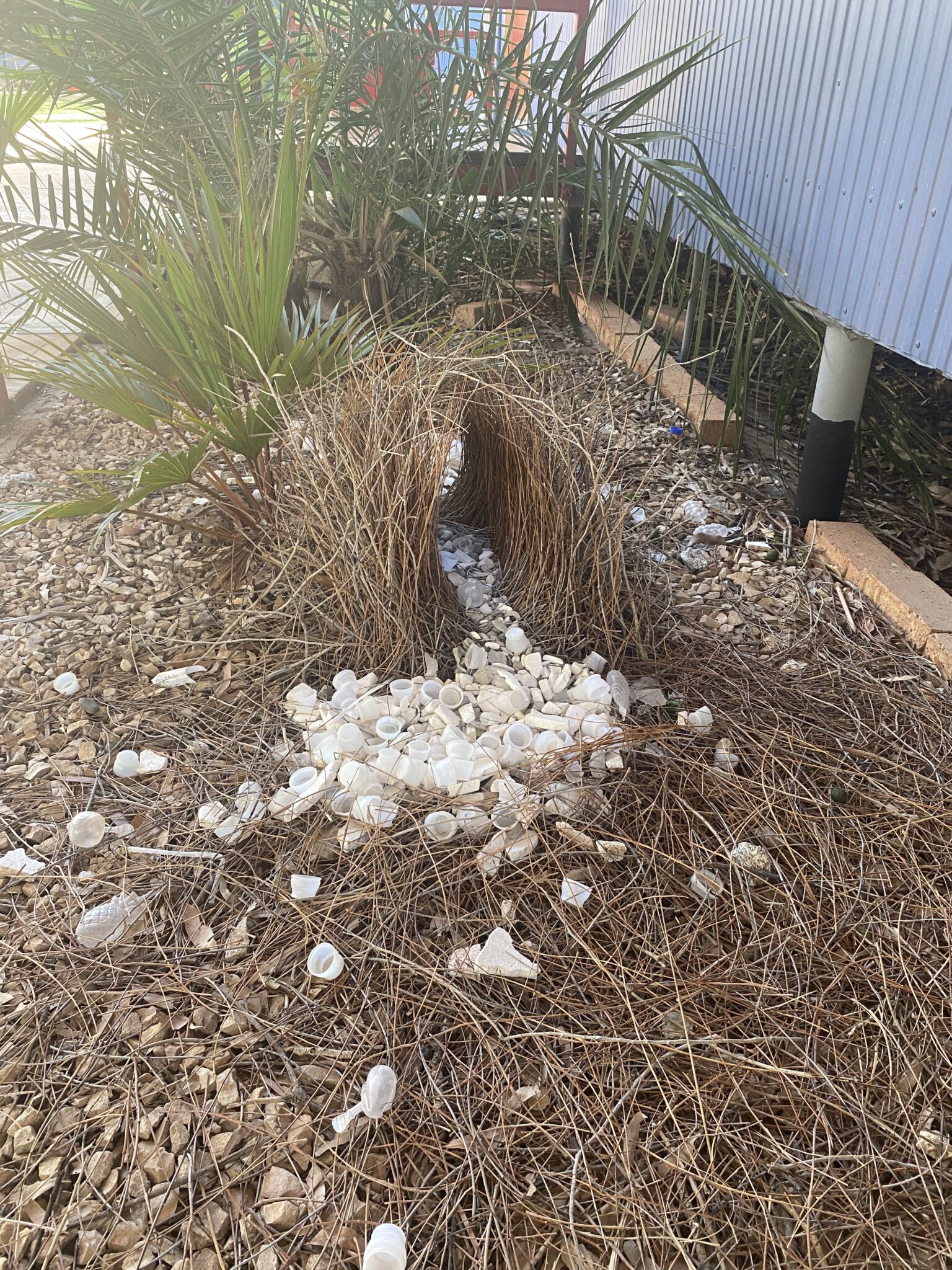 SIA tour group welcomed to Looma Community School by Christ Church Old ...