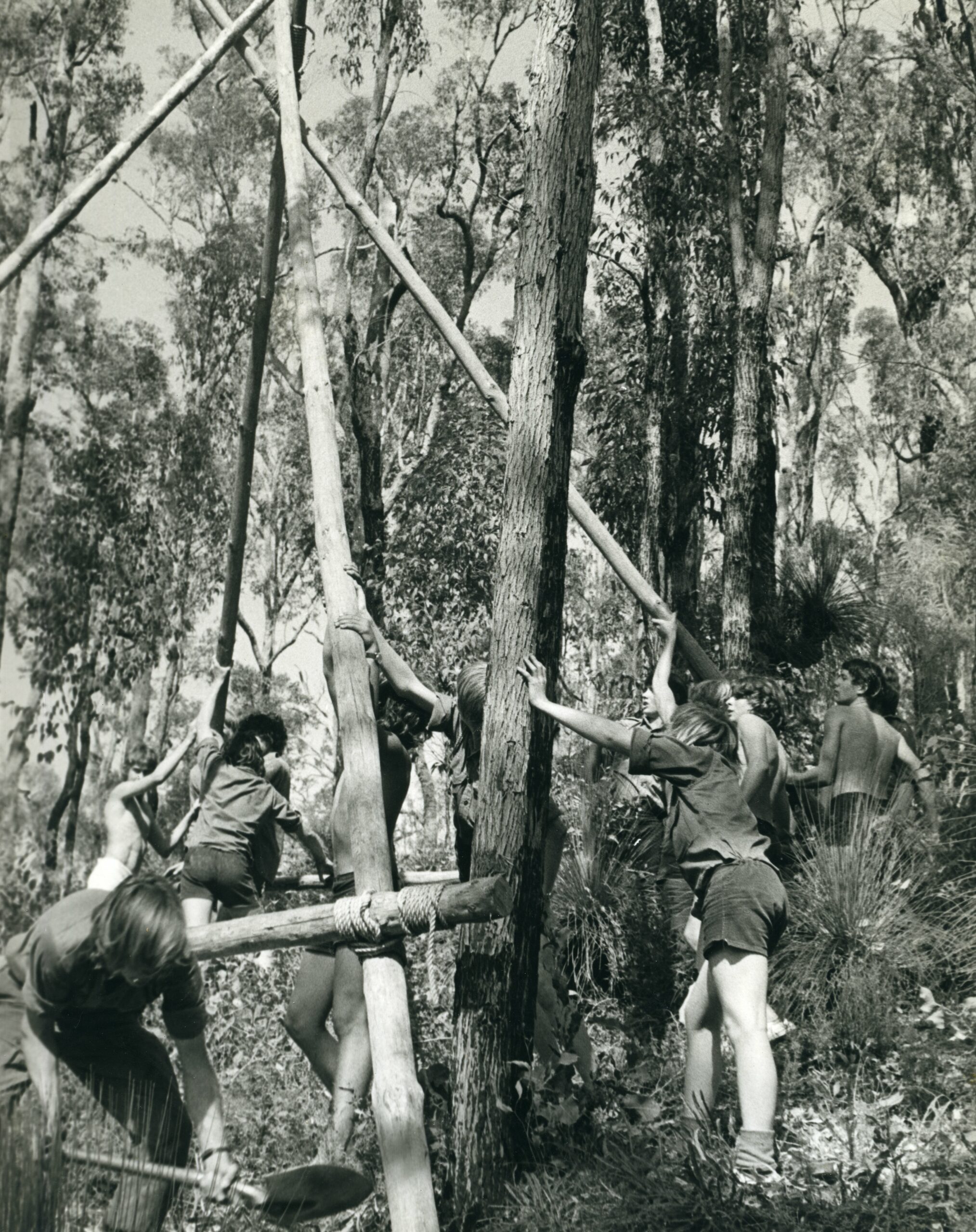 1973 Building Flying Fox - CCGS Christ Church Grammar School