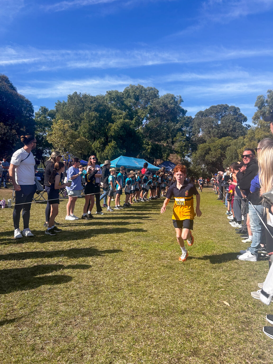 Christ Church shines at State Cross Country Championships - CCGS Christ ...